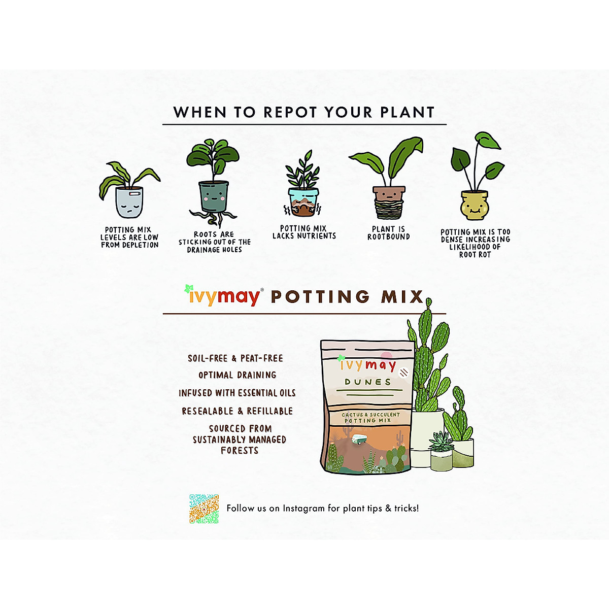 IvyMay Dunes Succulent Soil ― Organic Cactus Soil Potting Mix for Succulents, Ready to Use Potting Soil Indoor Plants with Perlite, Pumice, Earthworm Castings, Essential Oils ― 5 qt