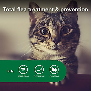 Advantage II Small Cat Vet-Recommended Flea Treatment & Prevention | Cats 5-9 lbs. | 1-Month Supply