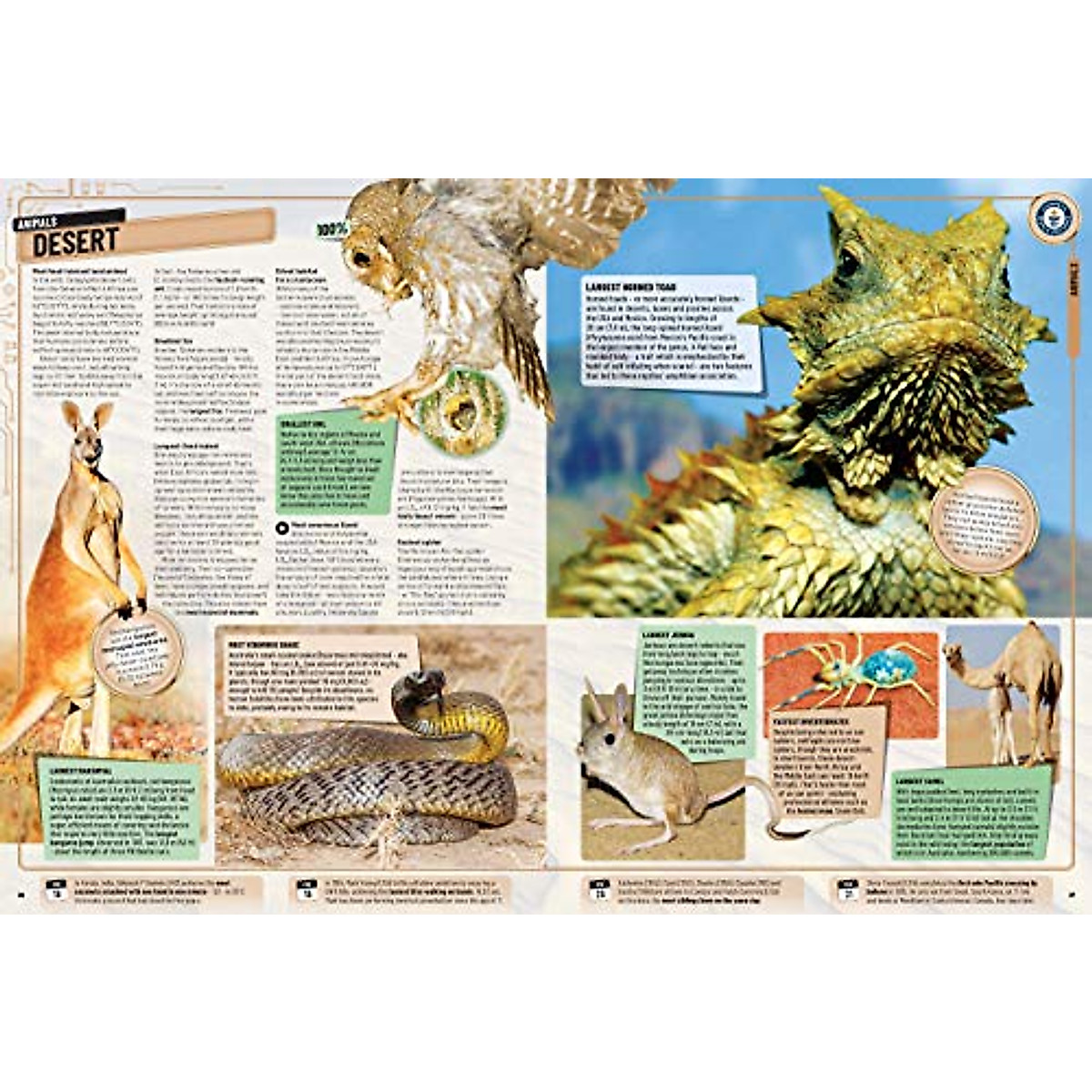 Guinness World Records 2020