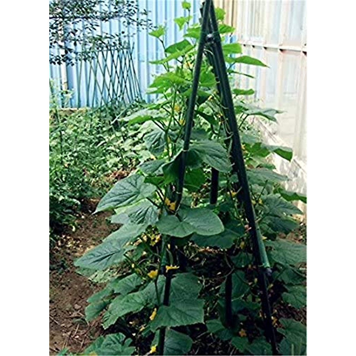 TINGYUAN Garden Stakes 36 Inches Steel Plant Stakes, Pack of 25
