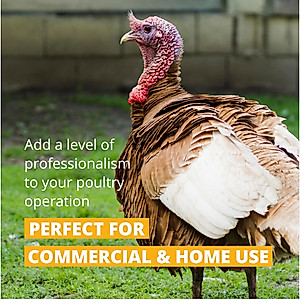 Stromberg's Large Turkey Heat Shrink Clear Bags, Freezer-Safe, BPA & BPS Free Bags with 65 Micron Thickness, Ideal for 25-30 lb Poultry, 18"x32", 100 Pack