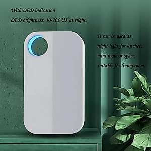 Cat Litter Deodorizer Dog Smell Poof Odor Eliminator Portable Air Purifier for Pets Home Garage Room Kitchen, Small, White