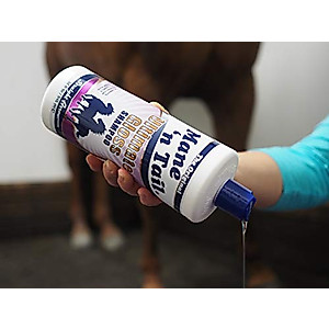 Mane 'n Tail Ultimate Gloss Shampoo and Conditioner 32 Ounce Each with 4 OunceDetangler Spray, Spray 'n White, Spray'n Braid