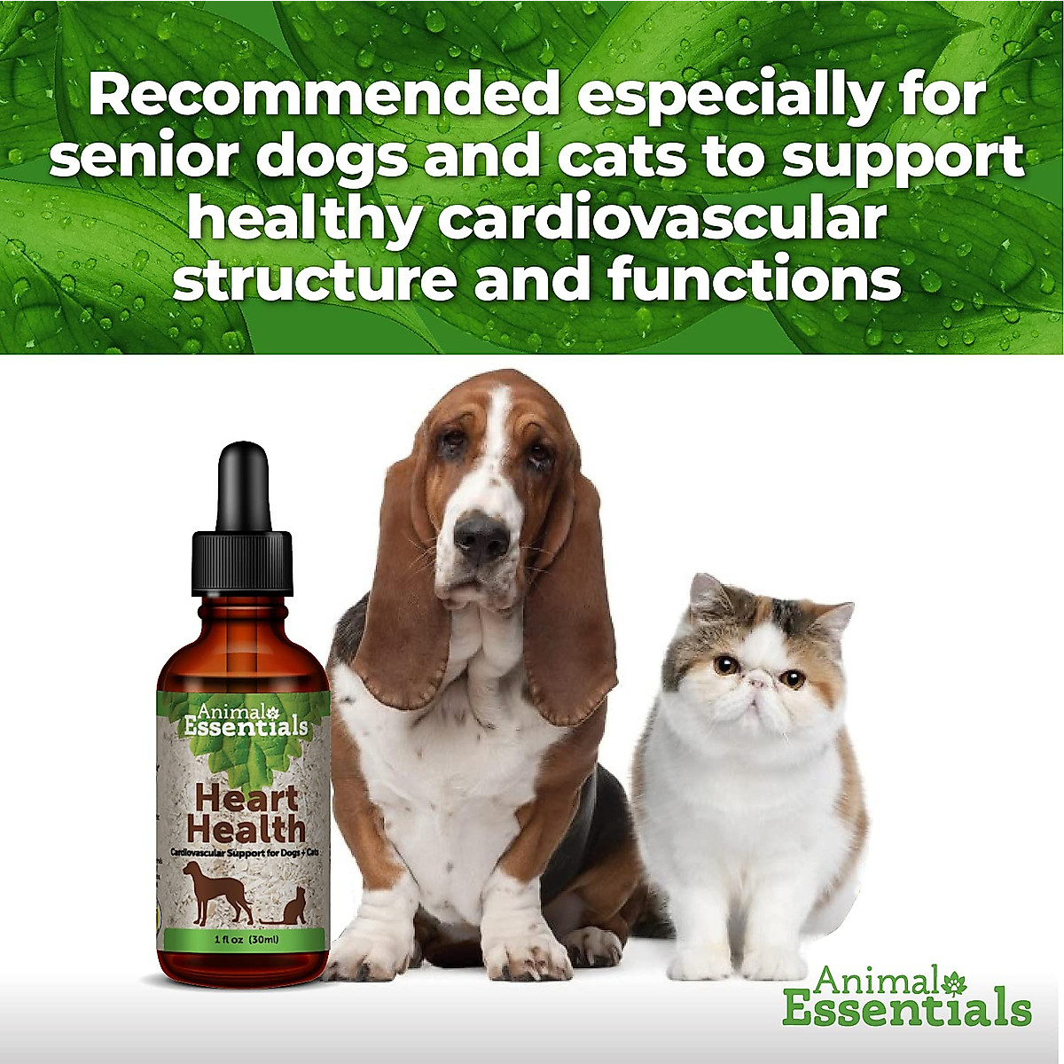 Animal Essentials Heart Health for Dogs & Cats - Cardiovascular Support Supplement, Healthy Heart, Organic Hawthorn Berry, Herbal Tincture - 2 Fl Oz