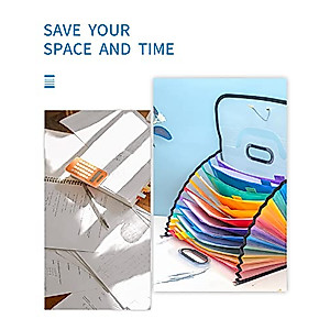 13 Pockets Expanding File Folder with Handle Accordion File Folder Organizer for A4 Letter Size Paper Document Holder Organizer with Expandable Cover (1)