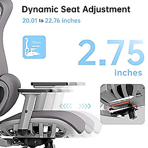 JOYFLY Big and Tall Office Chair, 450 lbs Ergonomic Office Chair for Heavy Duty with Lumbar Support & 3D Armrests, Home Office Desk Chairs with Extra Wide Seat, High Back Executive Chair,Adults,Grey