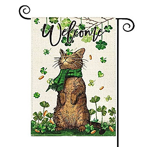 AVOIN colorlife St Patricks Day Welcome Cat Garden Flag 12x18 Inch Double Sided, Shamrock Lucky Clover Rustic Holiday Yard Outdoor Flag