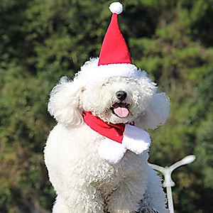 Orgrimmar Cat Santa Hat with Scarf Pet Christmas Costume Set Pet Christmas Outfit Xmas Clothes for Small Cats&Dogs