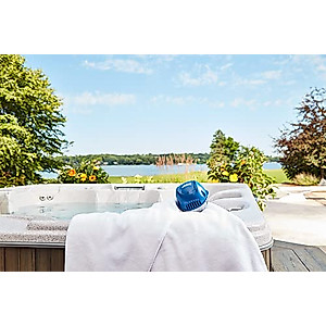 FROG @Ease Floating Sanitizing System for Hot Tubs up to 600 gallons, Self-Regulating Spa Sanitizer + 1 Packet of FROG Maintain Non-Chlorine Shock Treatment, Cyanuric Acid Free