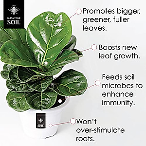 Indoor Outdoor Fertilizer Bundle, 2 Products, Container Plants, Gardens, & Flowers, Water Soluble Plant Foods