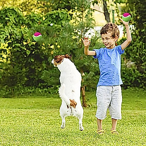 Aunnitery 6 Pcs Toss and Catch Ball Game Replacement Balls, Outdoor Games, Beach Toys, Perfect Beach Games Sets Playground Sets for Backyards 2.5 inches