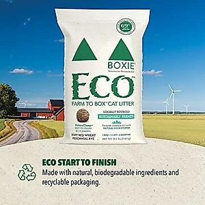 Boxiecat Eco Farm to Box Ultra Sustainable Cat Litter -Scent Free- 16.5 lb- Lightweight, Plant-based Premium Clumping Formula- All Natural Odor Control, Stays Ultra Clean