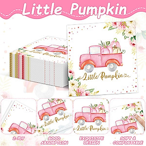 Thankgiving Pink Little Pumpkin Paper Plates Napkins Pink Pumpkin Baby Shower Birthday decorations Girl Tableware A Little Pumpkin is On Her Way Disposable Plates Party Supplies 24 Guest