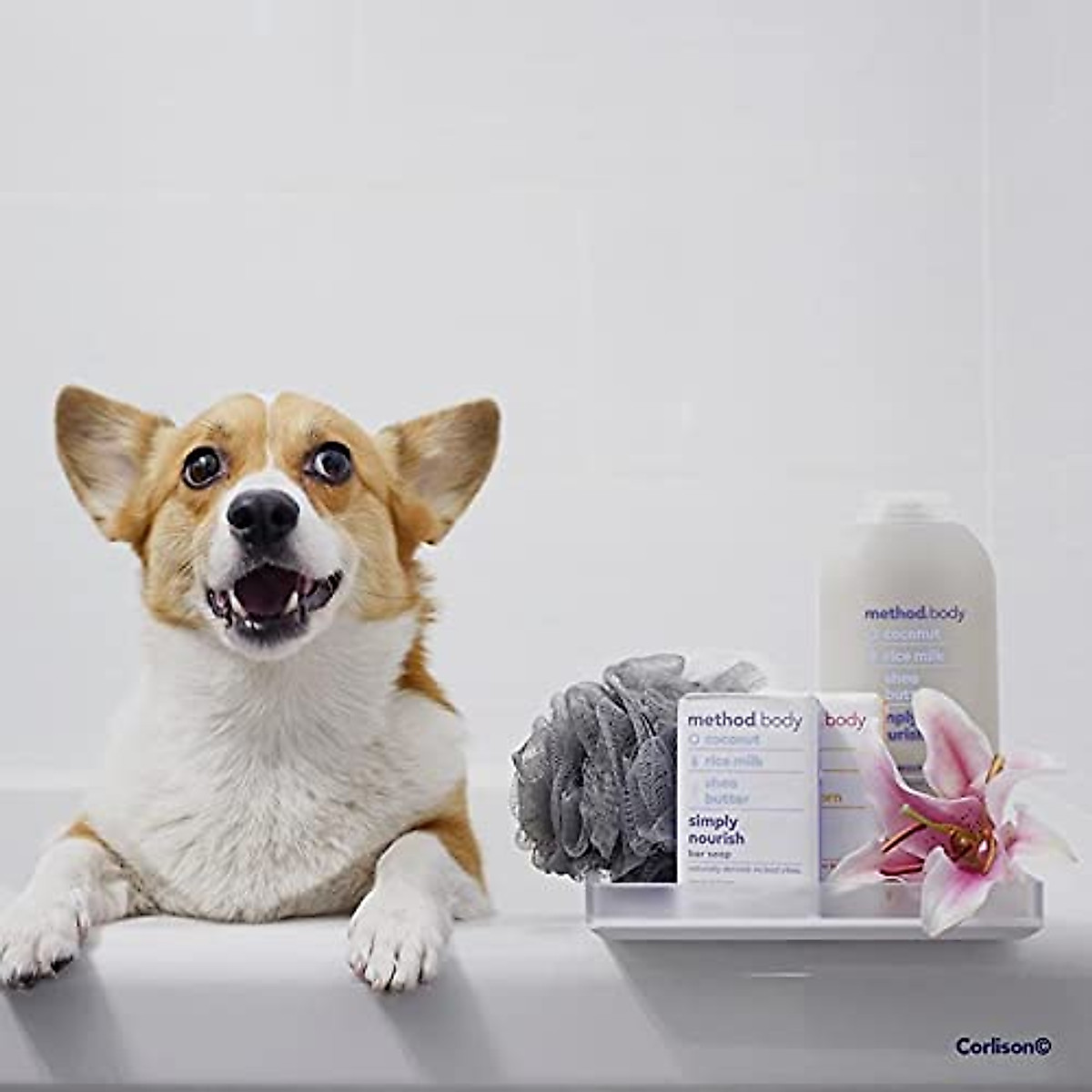 Method Body Wash, Simply Nourish, Coconut, 18 Fl Oz