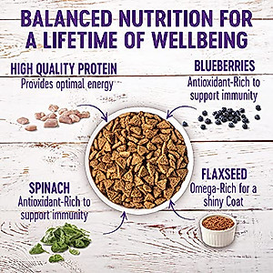 Wellness Complete Health Small Breed Dry Dog Food with Grains, Natural Ingredients, Made in USA with Real Turkey, For Dogs Up to 25 lbs (Adult, Healthy Weight Turkey & Rice, 4-Pound Bag)