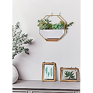 ChiRee Succulent Planters 7×3.5 Inch Decorative Ceramic Flower Plant Pots with Metal Holder Hanging and Place Dual-Purpose Garden Planter Pot with Drainage and Saucer for Indoor Home Office Desktop