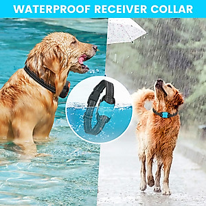 Electric Dog Fence, Wired Pet Containment System 656Ft Electric Fence for Dogs Adjustable Vibration & Rechargeable Underground/Aboveground 2 Waterproof Shock Training Collars Receiver Tone Correction