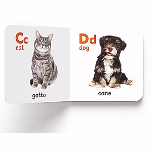 My First English-Italiano Learning Library (la mia prima biblioteca delle parole Inglese-Italiano): Boxset of 10 English - Italian Board Books (English and Italian Edition)