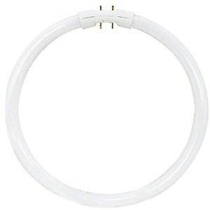 Satco S8159 3500K 40-Watt 2GX13 T5 Circline High Performance Lamp, Neutral White, Frosted, 1 Count (Pack of 1)