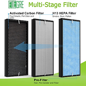 EzLfGre Dual Replacement Filter Fit for Gocheer GH-Monster & CLEANFORCE MEGA1000 & MOUNTO Extra large Air Purifier, H13 True HEPA, 2 Pcs