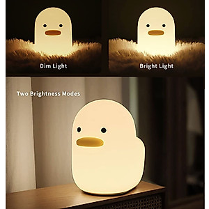 ipalmay Home Night Lights for Kids USB Rechargeable Lamps, ABS+PC Bedside Lamp for Breastfeeding, Touch Control&Timer Setting, White Duck