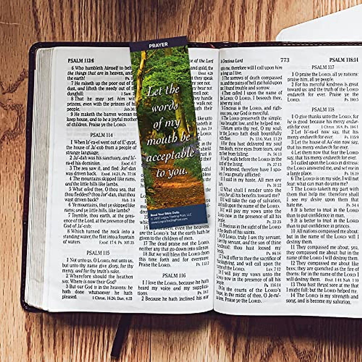 Christian Bookmark with Bible Verse, Pack of 25, Prayer Themed, Let the Words of My Mouth Be Acceptable To You, Psalm 19:14