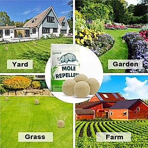 Whemoalus Mole Repellent Balls for Outdoor,Rodent Repeller for Outdoor,Vole Repellent Gopher Repellent Balls, Mothballs for Rodents Outdoor,Keep Moles and Voles Out of Your Lawn and Garden 8 Balls/Bag