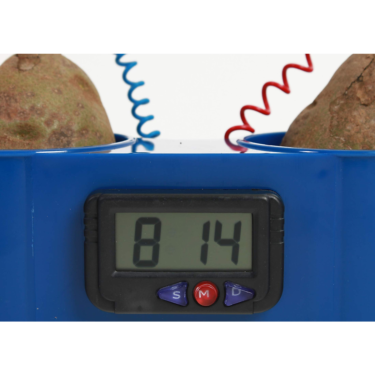 American Educational Blue Plastic Two Potato Clock, 8-1/2" Length x 3-1/2" Width x 2-3/4" Height