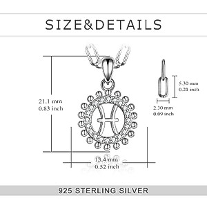 S925 Sterling Silver Zodiac Sign Necklace 12 Constellation Astrology Paperclip Chain Necklace for Women Pisces (2.19-3.20)