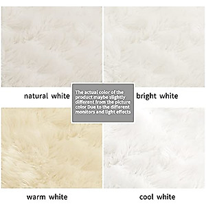 White Fur Rug Fluffy Rug, Small Rugs for Bedroom, Washable Faux Sheepskin Rug for Sofa Couch Seat Cushion, Thick Shaggy Furry Rugs Floor Carpets for Bedside Living Room, 2x4 ft, CIICOOL