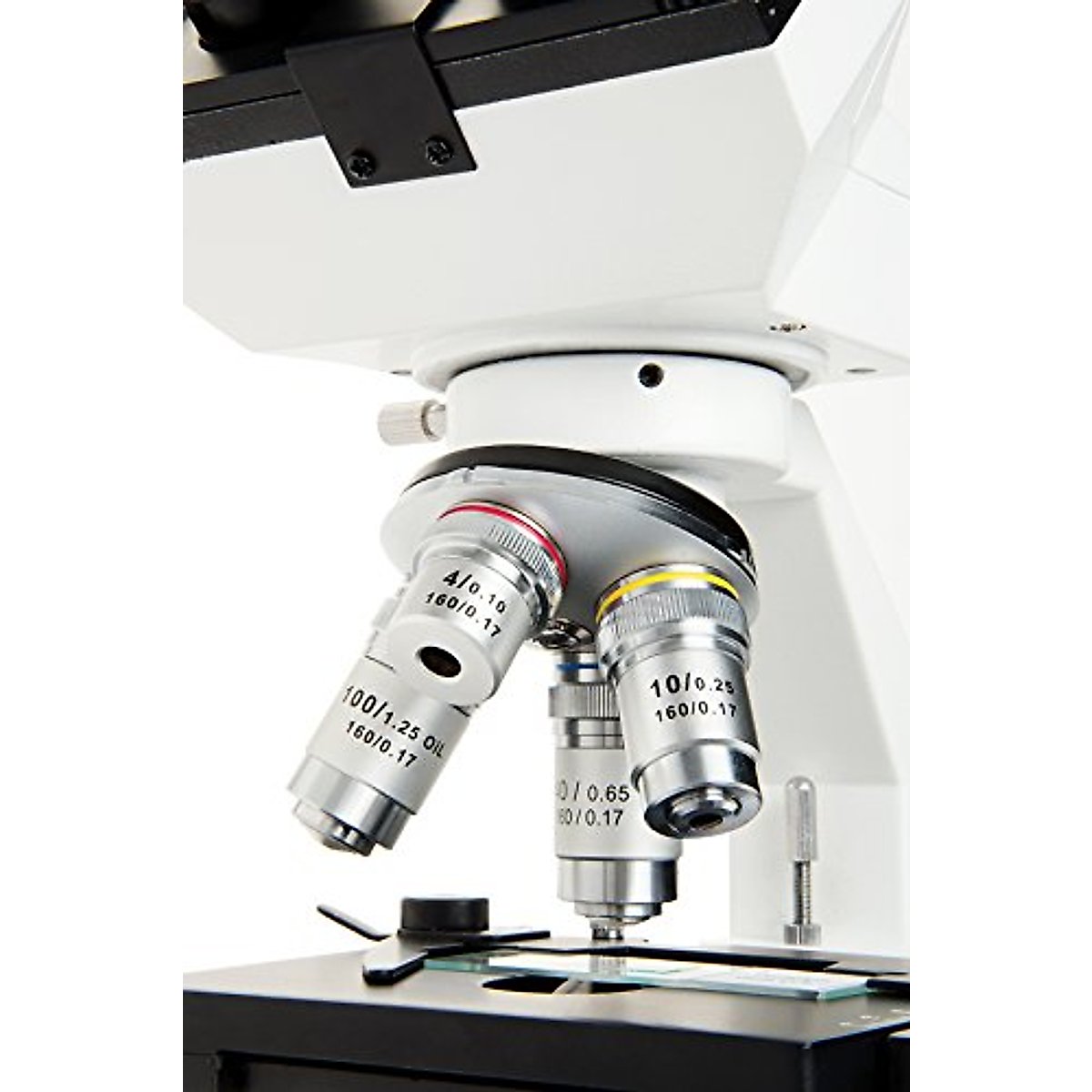 Celestron – Celestron Labs – Binocular Head Compound Microscope – 40-2000x Magnification – Adjustable Mechanical Stage – Includes 2 Eyepieces and 10 Prepared Slides