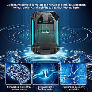 2024 Upgraded Version Ultrasonic Pest & Insect Repeller, Ultrasonic Repellent for Roach, Rodent, Mouse, Bugs, Mosquito, Mice, Spider, Ant,Electronic Plug in Pest Control,2 Mode Switching,6 Packs