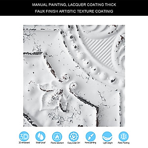 PAINTSDECOR Faux Tin Painting Panel Embellished Ceiling Tiles for Cafe Club Salon Hotel Store Bar 2'x2' PL04 Distress Crack White Black