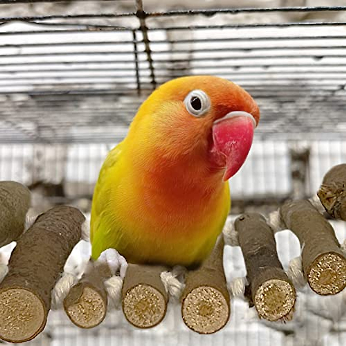 SIMENA Bird Cage Ladder, Parrot Bridge Made of Natural Wood and Rope, Interactive Bird Toy for Small and Medium Sized Birds and Parrots Like Parakeets, Cockatiels, Amazon Parrots, Conures and etc.