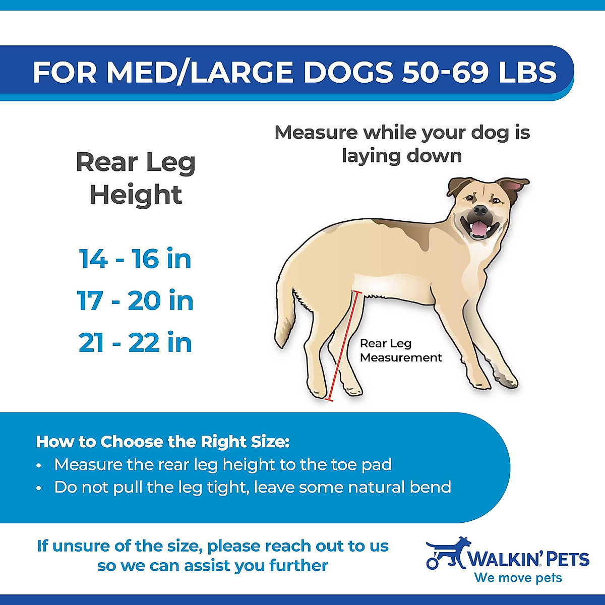 Walkin' Wheels Dog Wheelchair - for Med/Large Dogs 50-69 lbs - Veterinarian Approved - Dog Wheelchair for Back Legs