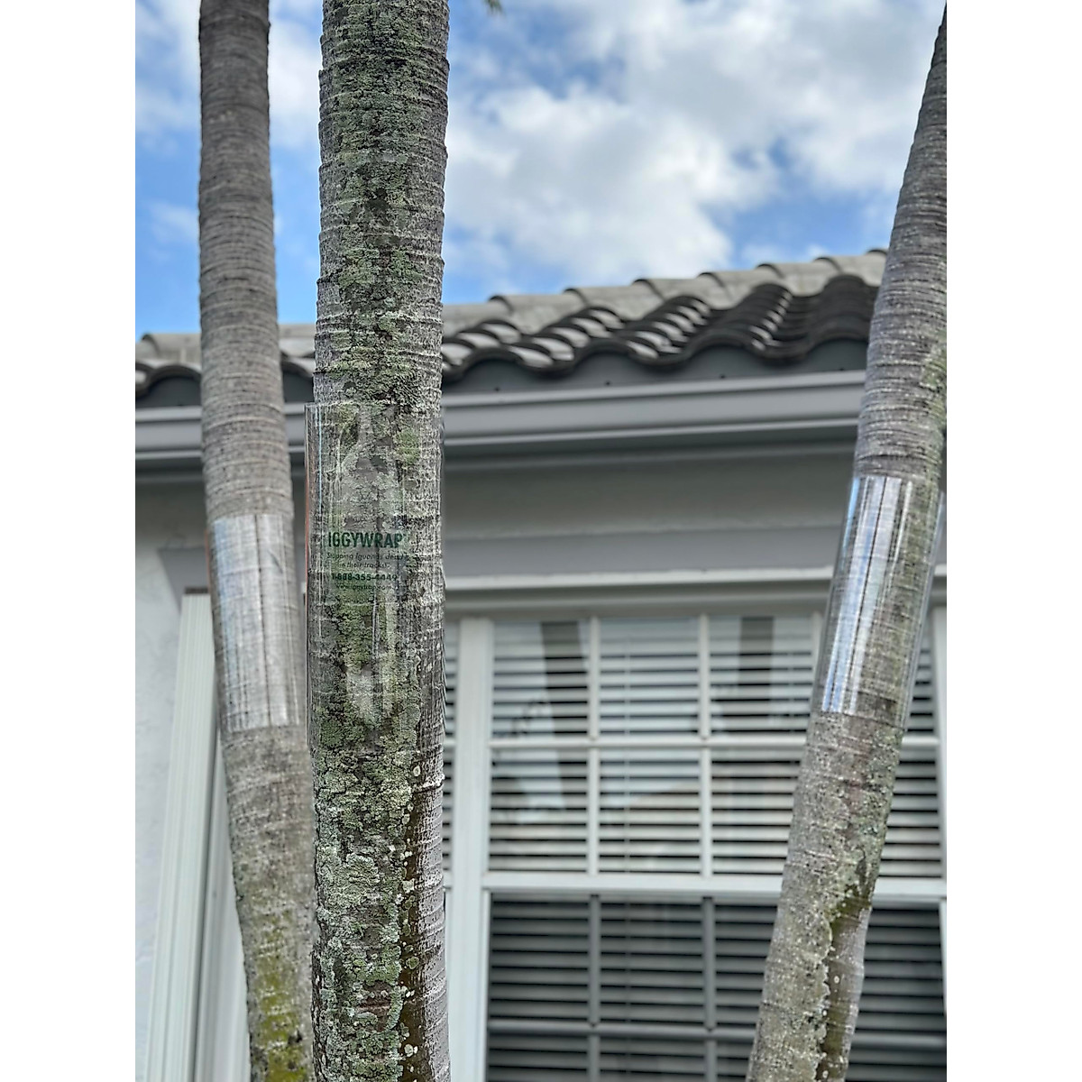 IggyWrap Iguana Tree Wrap for Iguana Prevention 29"