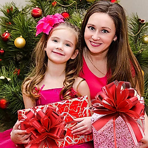 AMCAMI 20 Pieces Large Red Pull Bows for Gift Wrapping Christmas Gift Bows Organza Pull Bow for Xmas Gift Decoration Big Red Ribbon Bows for Wedding Party Birthdays Holidays