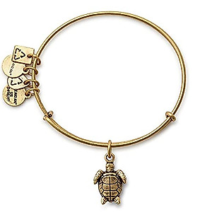 Alex and Ani Turtle Rafaelian Gold Bangle Bracelet