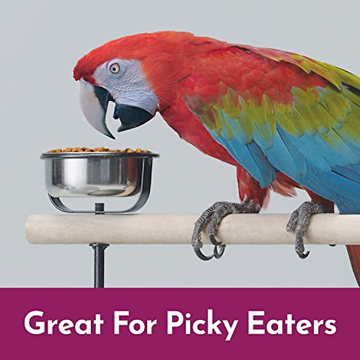 Kaytee Nutri Soft Pet Macaw & Cockatoo Bird Food, 3 Pound