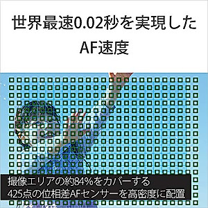 Sony / APS-C / Alpha 6400 / High Magnification Zoom Lens Kit (Included Lens: SEL18135) / Black / ILCE-6400M