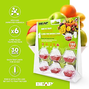 BEAPCO 10036 7 Red 6-Pack Premium Fruit Fly 6 Pre-Filled Trap Flies Indoors | Easy Effective and Safe to Use | Food-Based Lure/Bait Catcher