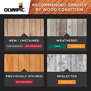 Olympic WaterGuard 1 gal. Clear Exterior Waterproofing Wood Sealer