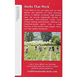 Traditional Medicinals Organic Throat Coat Tea, 16 ct