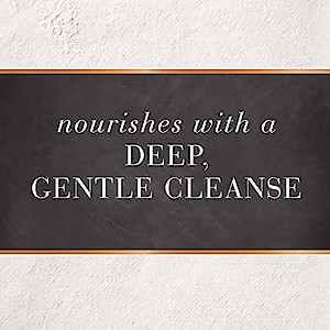 Hair Food Shampoo, Tea Tree & Lavender Water, 10.1 Oz (23174)