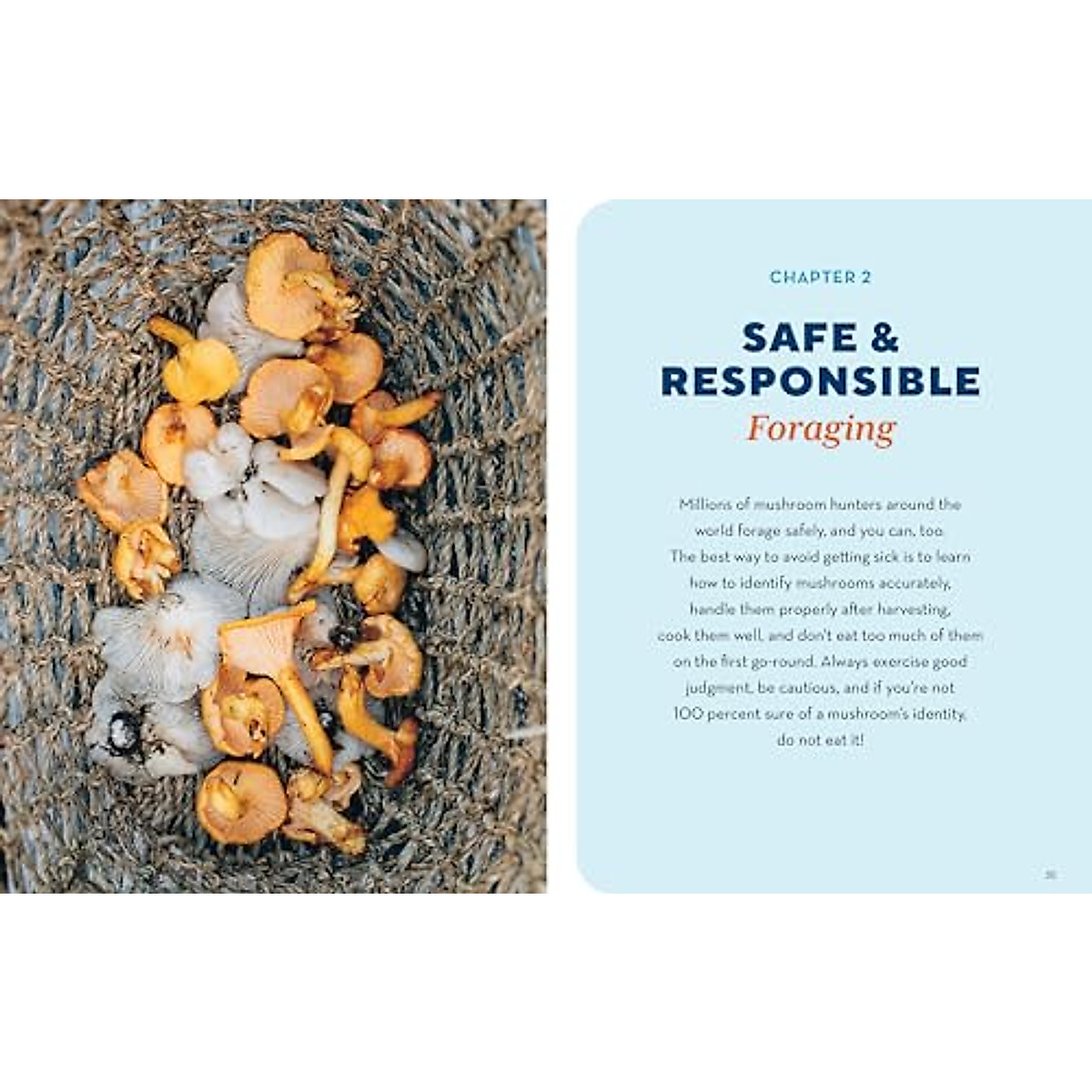 How to Forage for Mushrooms without Dying: An Absolute Beginner's Guide to Identifying 29 Wild, Edible Mushrooms