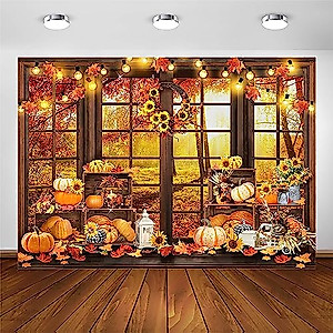 Avezano Fall Backdrops for Photography Sunflowers and Pumpkin Harvest Portrait Photo Background Rustic Window Autumn Forest Scene Thanksgiving Holiday Party Decorations Banner Props (7x5ft)