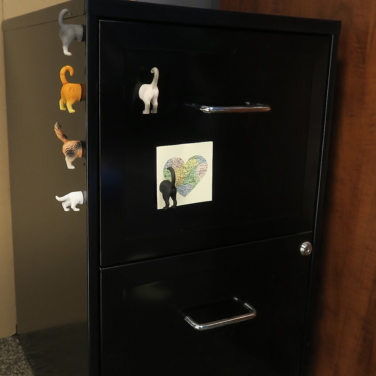 6 Pack - Evelots Refrigerator Magnets-Cat Butts-Photo/Key Holder-6 Popular Breeds