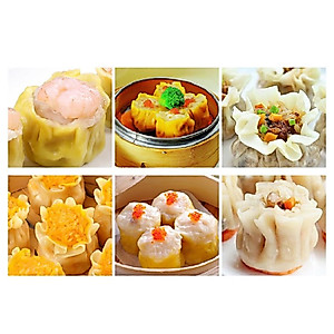 Siomai Shumai Wonton Forming Machine