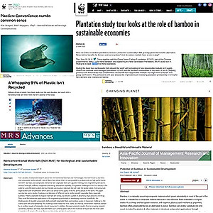 DAGUA Eco-friendly Bamboo Toothbrush with Charcoal Bristles BPA-free in ecofriendly packing (soft bristles - 1 count)