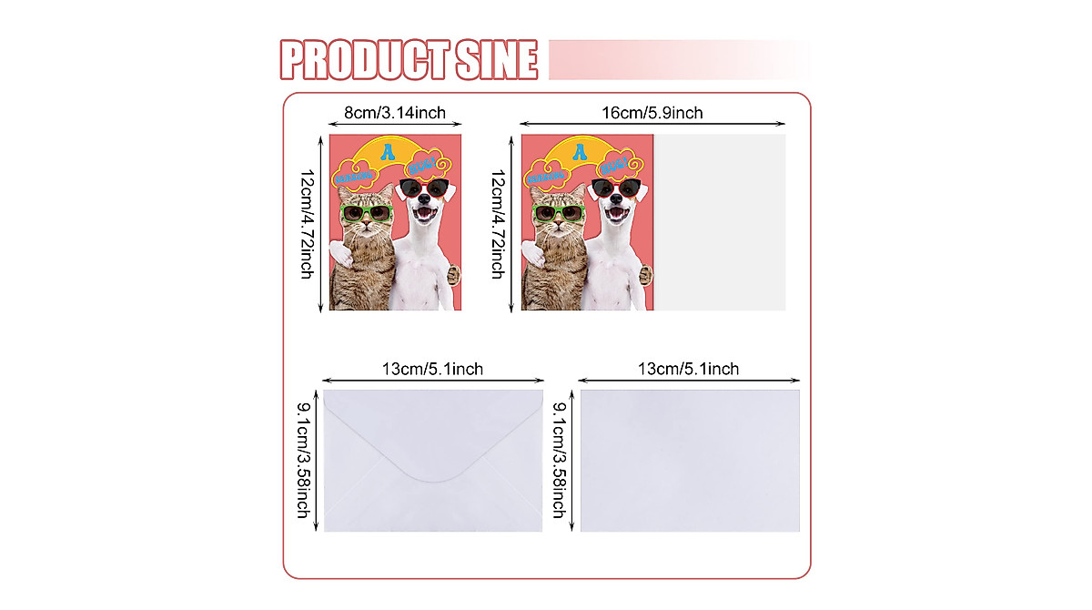 Funny Animal Greeting Cards Set | 60 Card Pack with Envelopes